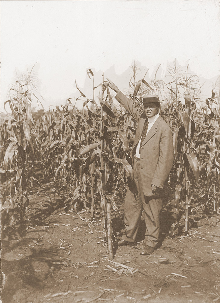 Allee Family History – Newell Historical Society